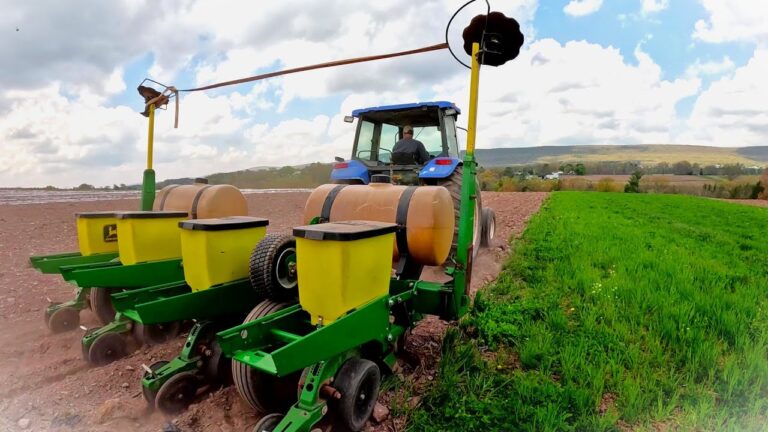 Homepage - The Veggie Boys