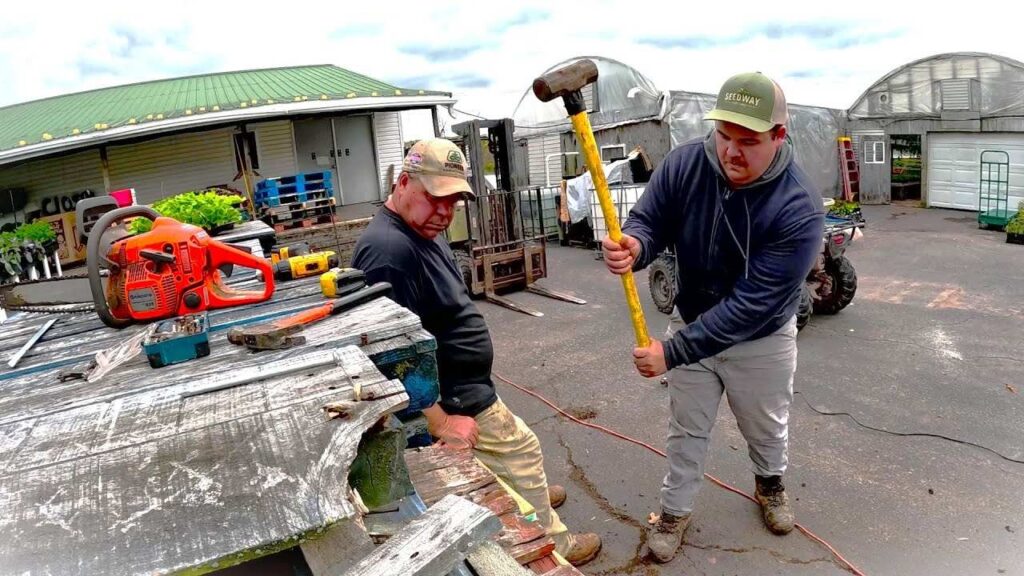 Homepage - The Veggie Boys