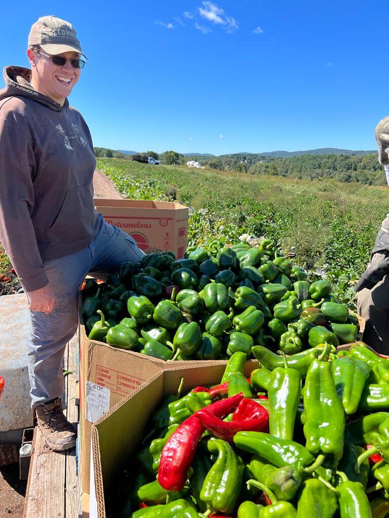 Homepage - The Veggie Boys