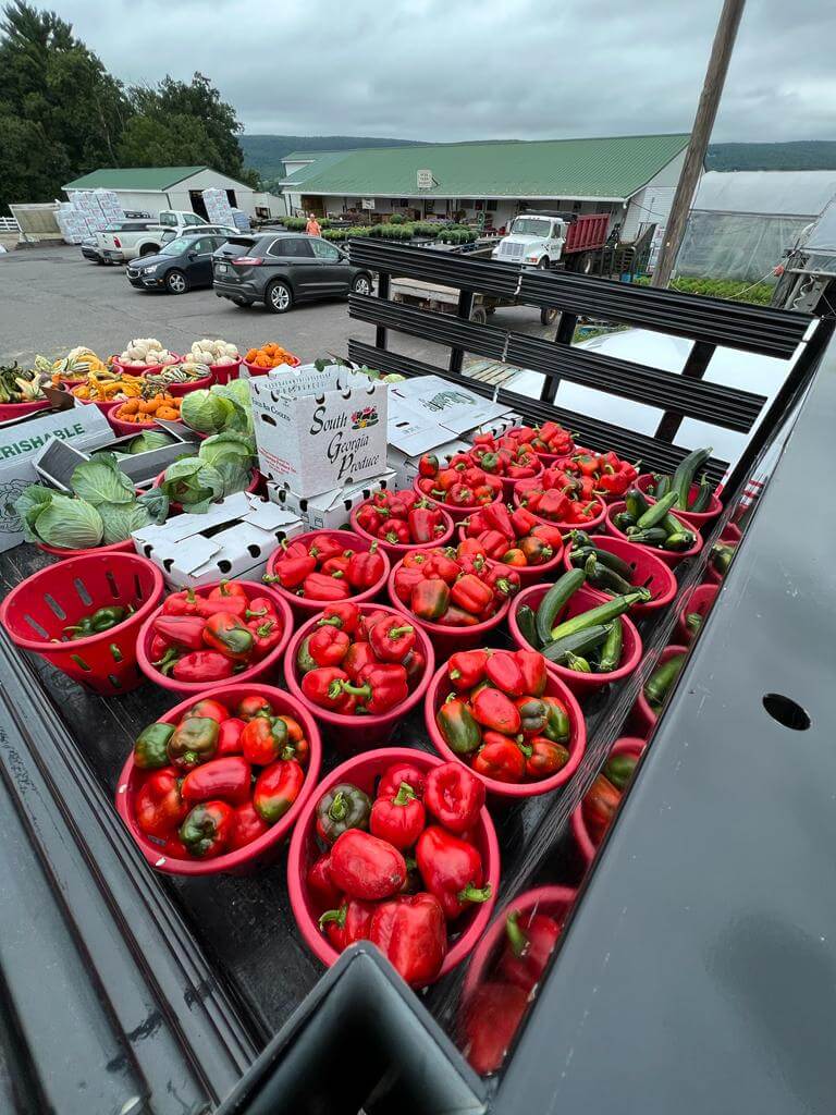 Homepage - The Veggie Boys